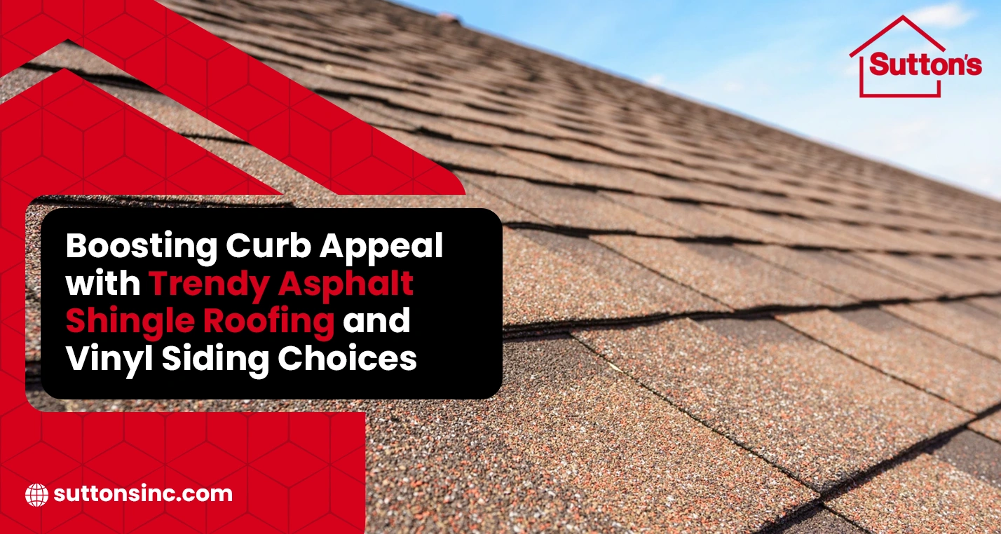 Asphalt Shingles & Vinyl Siding